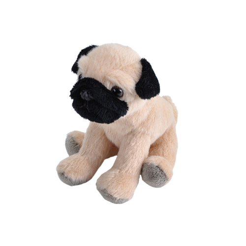 Mini Pug Dog Teddy Bear Soft Toy | The Teddy Bear Cupboard