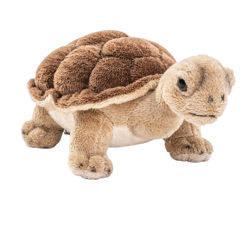 Tortoise Teddy Bear - Soft Toy | The Teddy Bear Cupboard