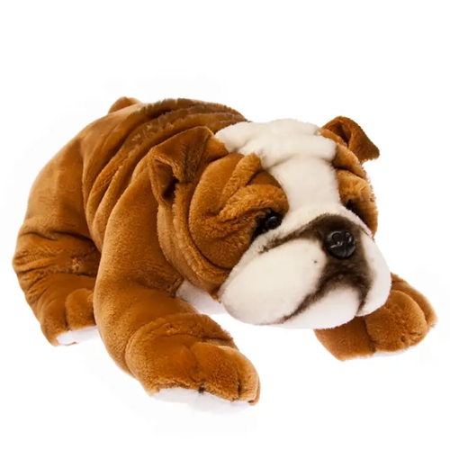 Boston Bulldog Teddy Bear - Soft Toy | The Teddy Bear Cupboard